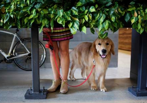 Team One Named Among 2014's 'Best Places to Work' : News : Saatchi ...